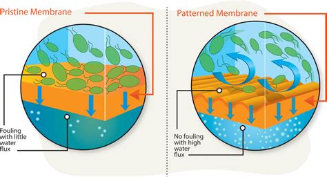 What Is Fouling In Water Treatment In 2023 Etch2o Water Treatment