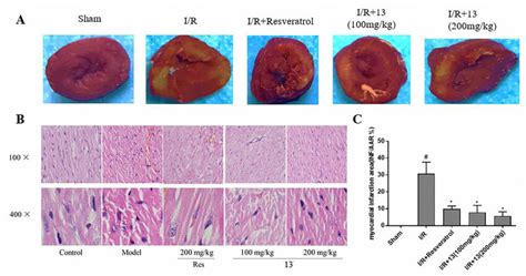 Effect Of Resveratrol Low Dose 13 And High Dose 13 On Ir Induced