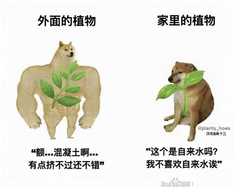 自制 Esp32智能花盆(无线) 电路设计功能展示 知乎 自制 Esp32智能花盆(无线) 电路设计功能展示 知乎