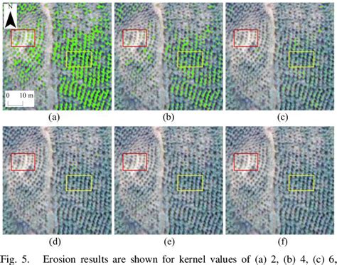 Figure 1 From A Mapping Approach For Eucalyptus Plantations Canopy And Single Tree Using High