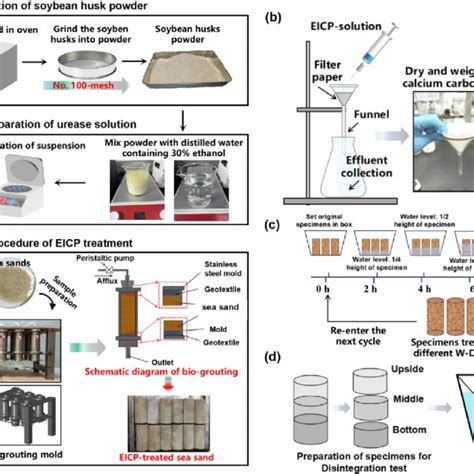 Schematic Diagram Of The Test Steps A Bio Cement Specimen