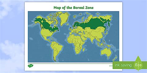 Boreal Zone World Map Professor Feito Twinkl
