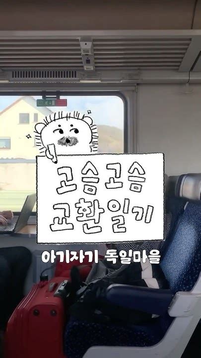 프푸에서 한시간이면 가는 낭만 도시 하이델베르크 독일 당일치기 여행지로 왕추천🦔 제발 와보세요 고슴고슴교환일기 독일여행 하이델베르크 교환학생 Vlog