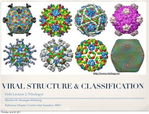 Virology Lecture 2 Viral Structure