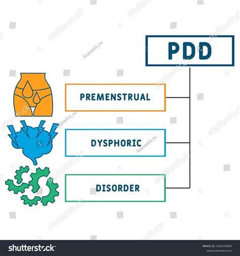 Pdd Premenstrual Dysphoric Disorder Acronym Business Stock Vector