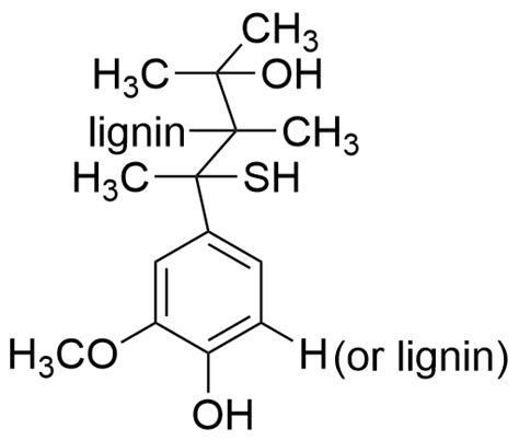 Lignin Structure