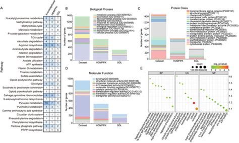 A Multi‐omics Machine Learning‐aware Genome‐wide Metabolic Model Of Bacillus Subtilis Refines