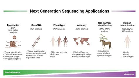 Next Generation Sequencing Ngs Definition Types Applications