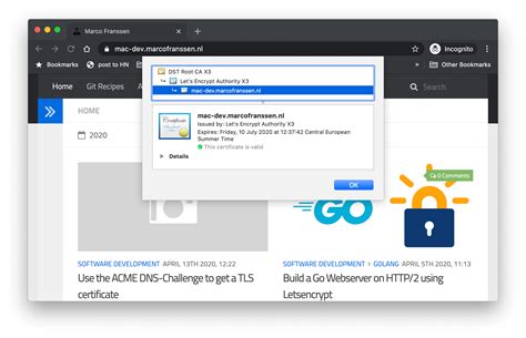 Use The Acme Dns Challenge To Get A Tls Certificate Marco Franssen