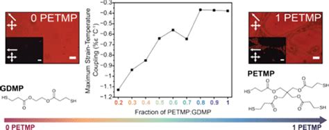 Systematic Investigation Of Liquid Crystalline Elastomers Prepared By Thiolene