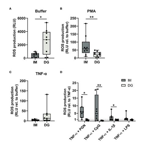Neutrophils Purified By Immunomagnetic Isolation Are More Responsive
