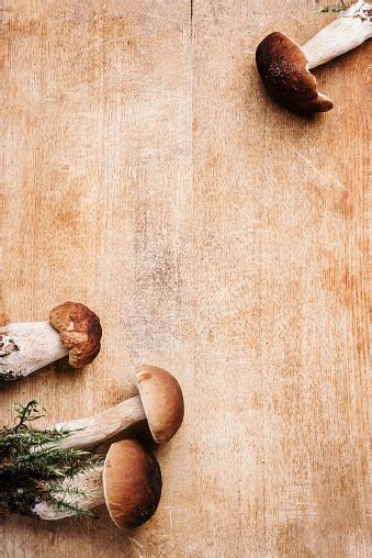 나무 배경에 신선한 숲 볼레투스 버섯 맨 위 보기입니다 공간을 복사합니다 가을 수확 개념 바구니에 신선한 수확 포르치니 버섯 Boletus에 대한 스톡 사진 및 기타 이미지