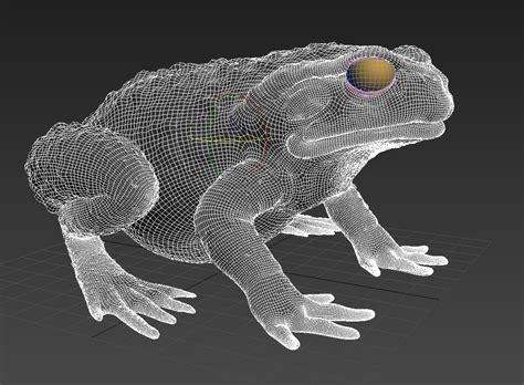 Morpher And Skin Modifier Slow Playback Speed Autodesk Community