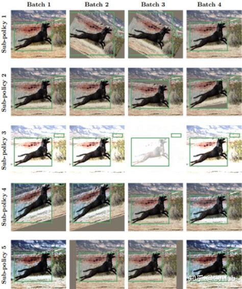 一文看尽深度学习中的各种数据增强 知乎