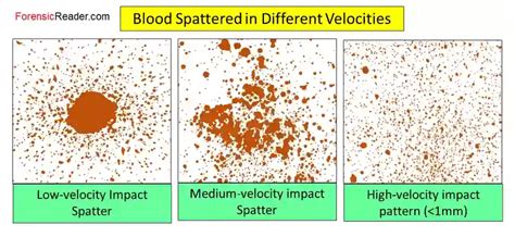 Bloodstain Pattern Analysis Forensic Types And Classification