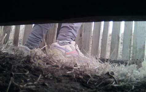 Close Up Action At The Storage Unit The Tree Spy