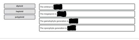 Bio 101 Ch 30 Flashcards Quizlet