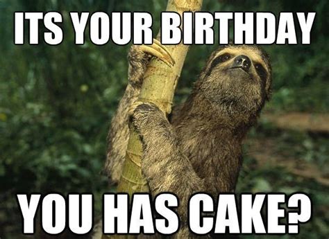 100 Ultimate Funny Happy Birthday Memes With Sloth 3 Toed Sloth
