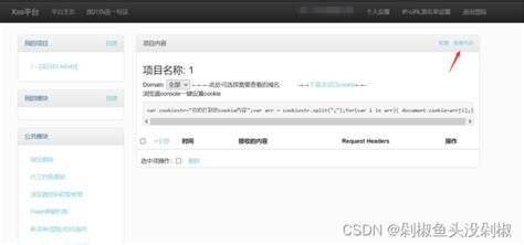 Xss攻击详解 Csdn博客
