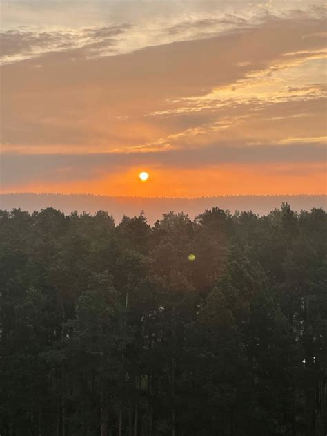 Природа Зеленые фоны Природа Лес