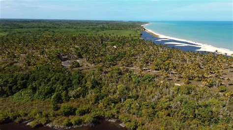 Omegleboobflashvideo Videos Download The Best Free 4k Stock Video