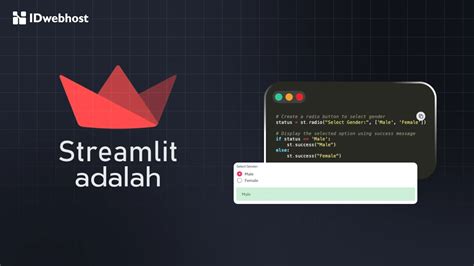 Streamlit Python Arsitektur Fitur Dan Contoh Aplikasinya