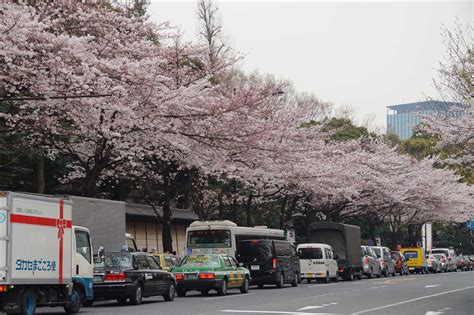 桜靖国通り たびづとは旅土産