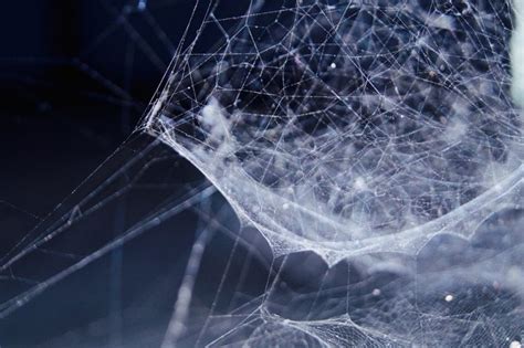 What Is Cellular Data And How To Use It