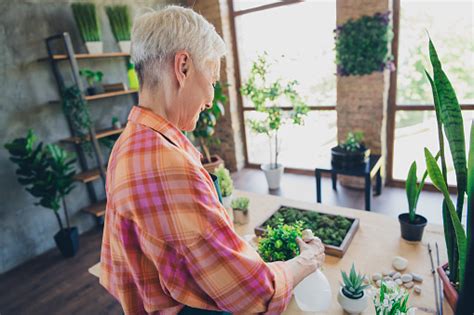 사진 초상화 의 매력적인 성숙한 여성 소상공인 물 스프레이 꽃 관리 플로리스트 직업 착용 앞치마 일 식물 가게 노인에 대한 스톡