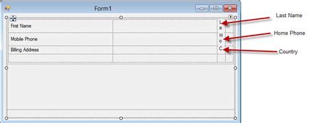 Designing The Layout Of Windows Forms Using A Tablelayoutpanel With Auto Expand Panels Codeproject