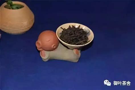 中國十大名茶篇 武夷岩茶大紅袍 每日頭條