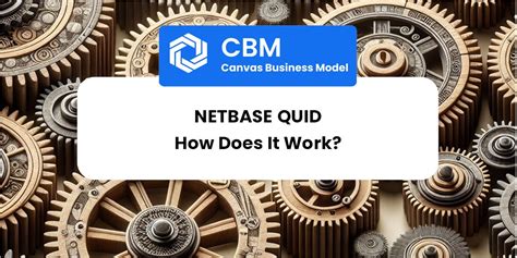 ¿cómo funciona netbase quid cbm