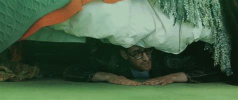 Hiding Under The Bed 