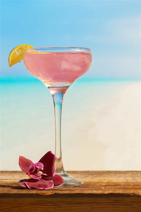 Sex On The Beach Cocktail Howdykitchen