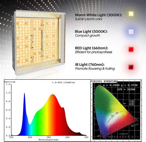 Grow Light Spectrum Chart At James Vance Blog