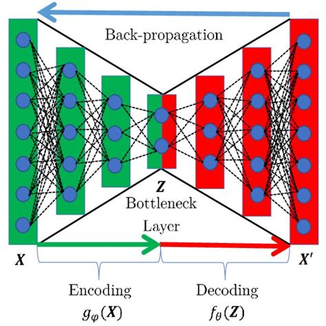 Autoencoder Framework Using Feed Forward Neural Networks Blue Circles Download Scientific