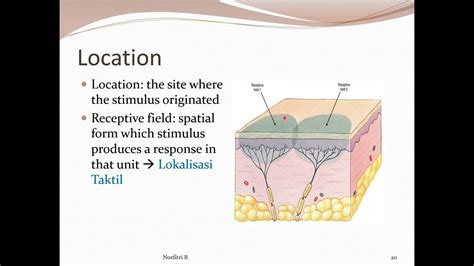 Pengantar Praktikum Fisiologi Dermato Musculo Sceletal Youtube