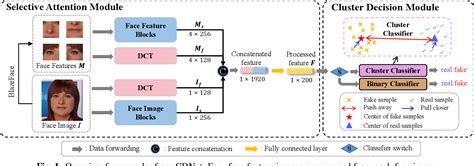 Figure 1 From Cdnet Cluster Decision For Deepfake Detection Generalization Semantic Scholar