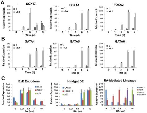 Ra Induction Of Up Expression Is Correlated With Markers Of Hindgut Download Scientific Diagram