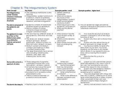 Integumentary System Overview Key Concepts And Functions Chapter 6