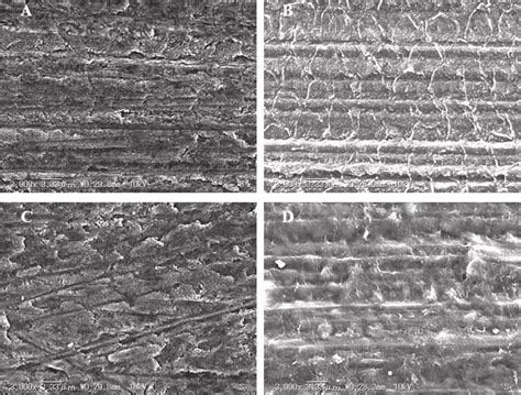 Sem Micrographs Of Etch Patterns On Enamel A And C Are The Direct