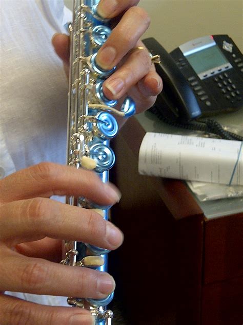 Repair My Flute Lesson Checklist