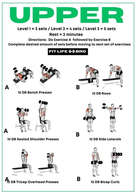 Upper Body Workout Upper Body Dumbbell Workout Upper Body Workout Gym Upper Body Workout