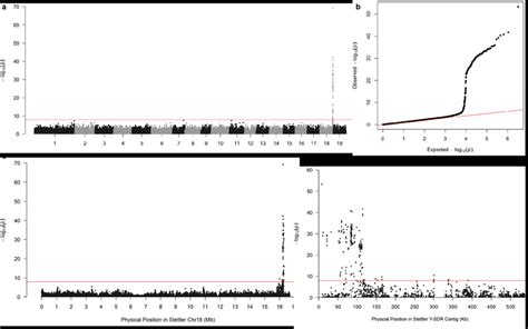 Sex Association Analysis With Markers From The V1 Main Genome Of