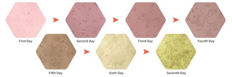 Buy Cell Factory System Multi Layers Cell Factory Price