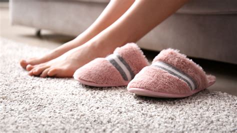 Can Bed Bugs Live In Carpet