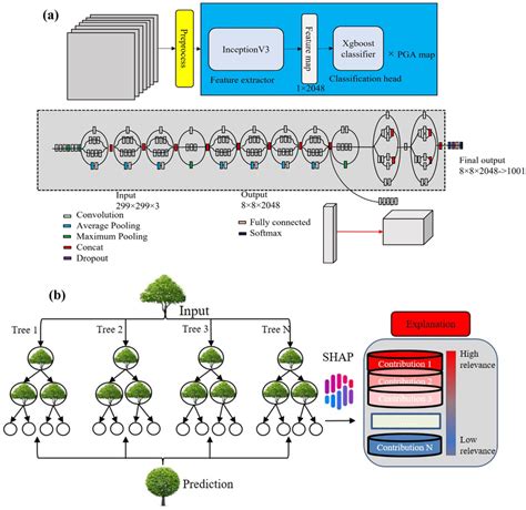 Implementation Of Shap In Model Explanation Followed By A Inception Download Scientific