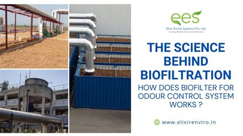 The Science Behind Biofiltration How Does Biofilter For Odour Control System Works