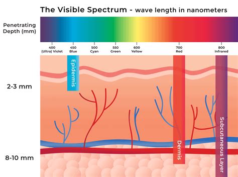 Blue Light Vs Red Light Vs Infrared Healthlight