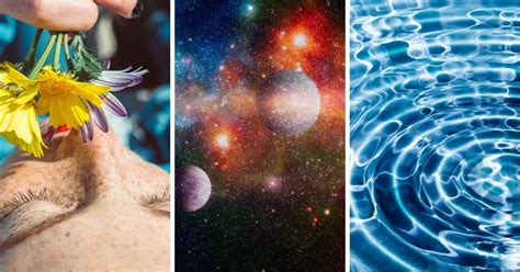 The INTJ Cognitive Function Stack Psychology Junkie